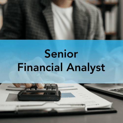 Senior Financial Analyst – Media Resources